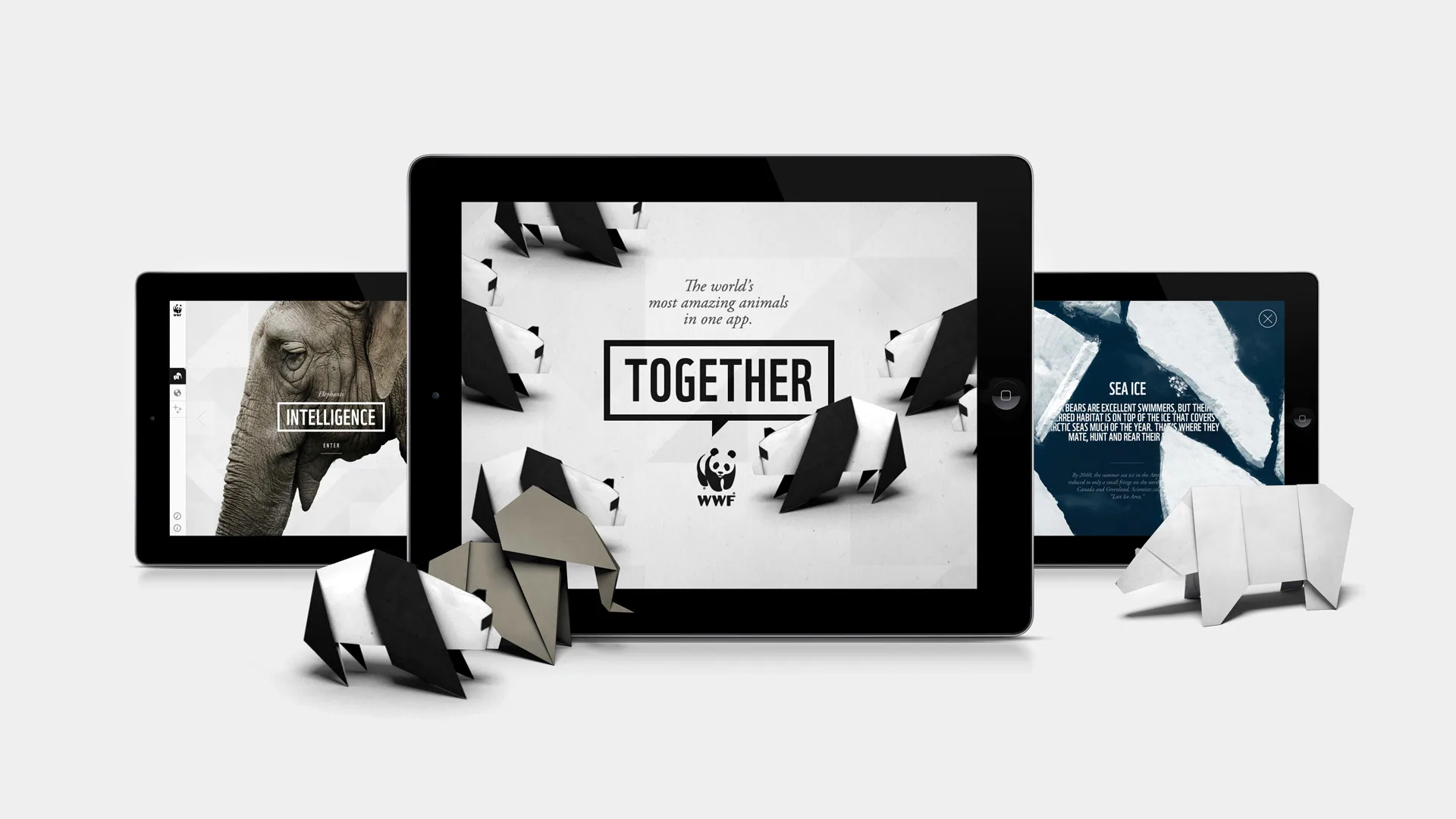 WWF Together - Scott Cullum